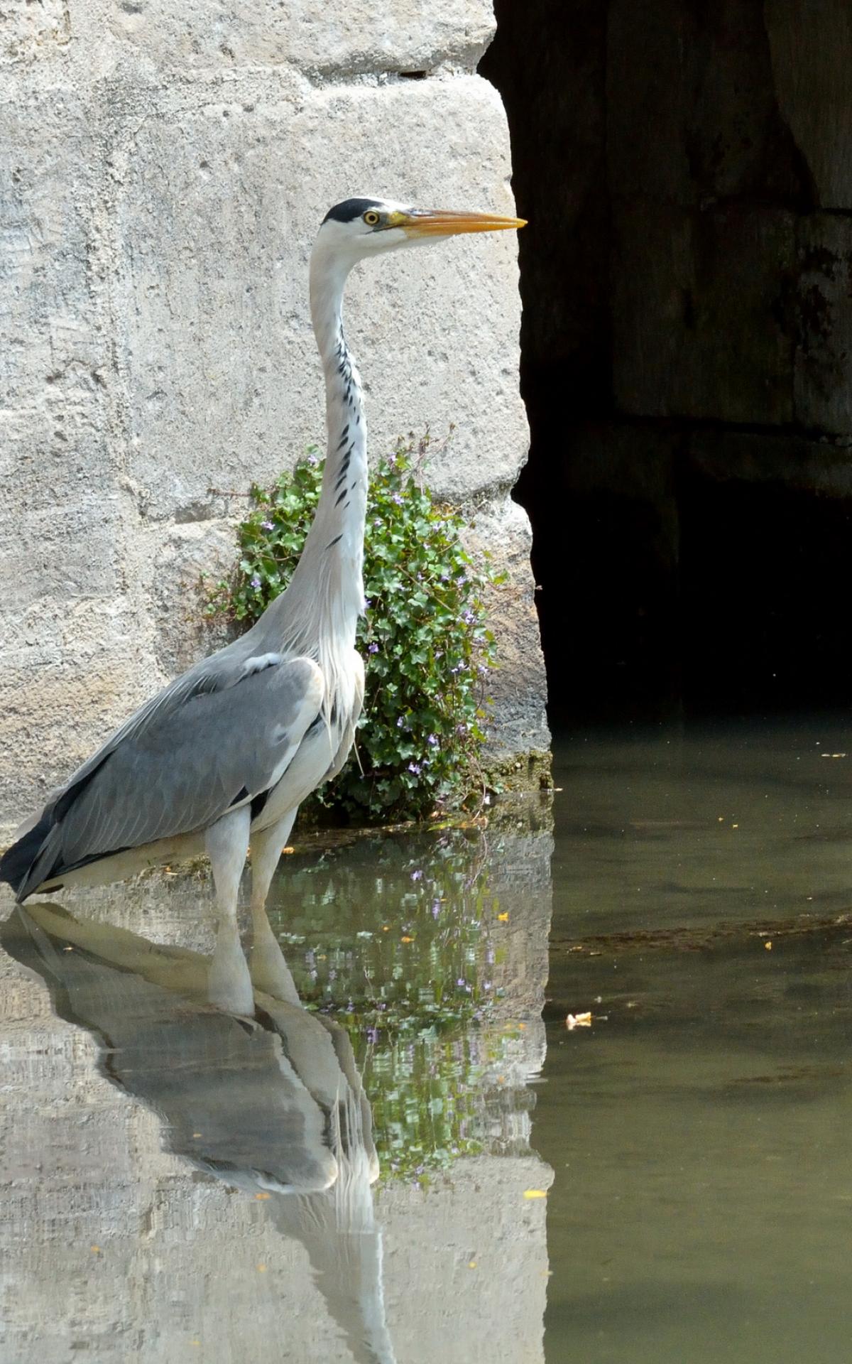 Balade en barque l’Eau’dyssée | Châlons Tourisme