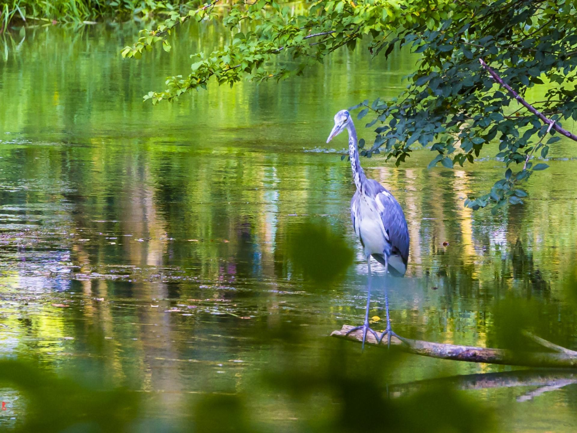 Les Jards, nos jardins merveilleux | Châlons Tourisme