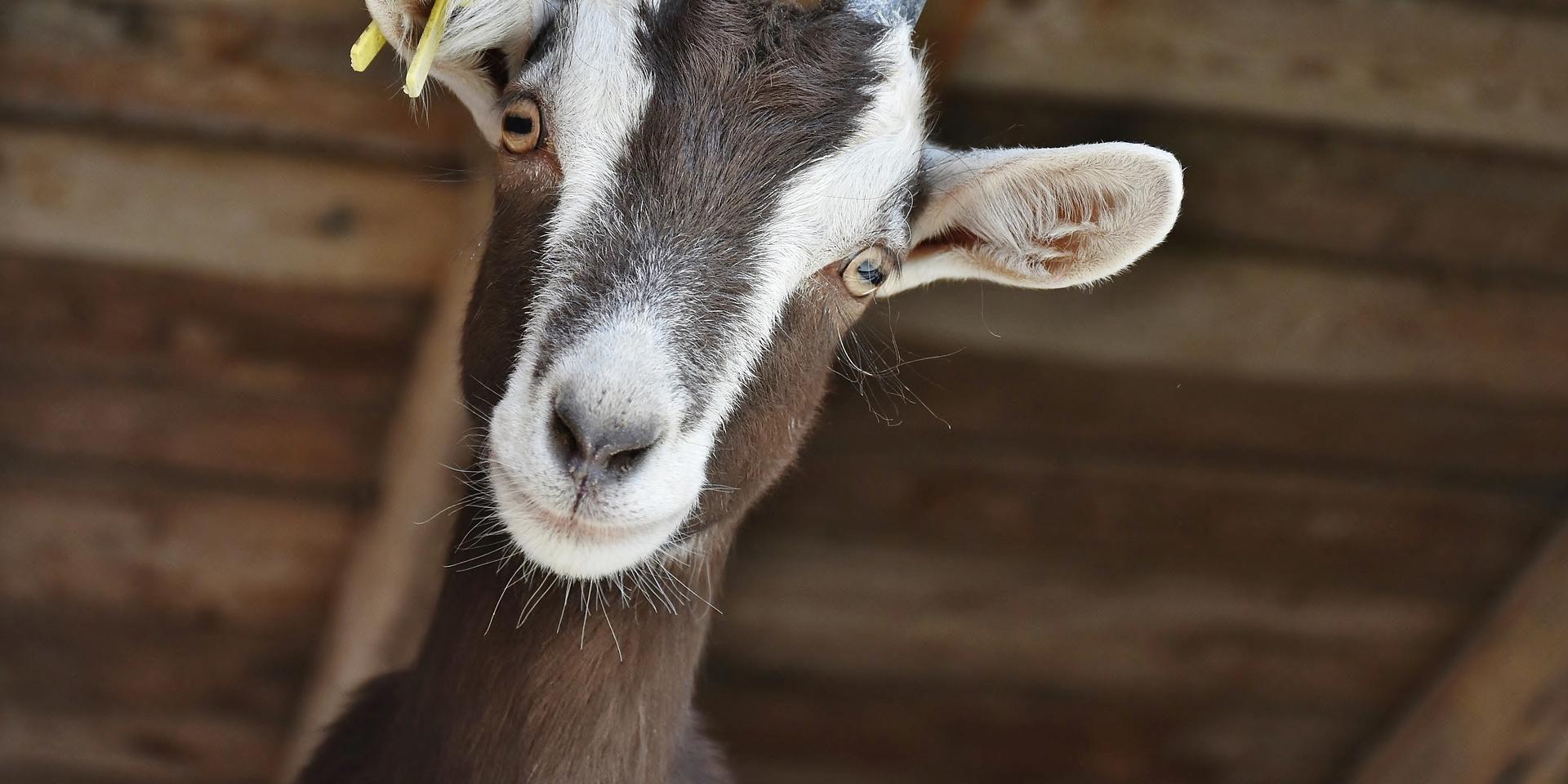 La ferme de l’Espérance | Châlons Tourisme